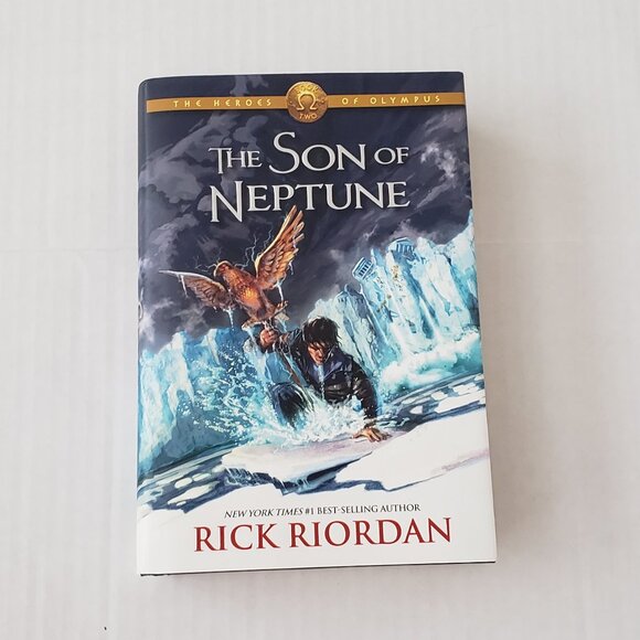 Disney | Other | Rick Riordan The Son Of Neptune Hardcover Book | Poshmark